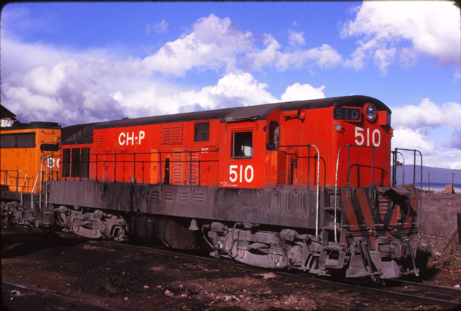 Chihuahua del Pacifico profile