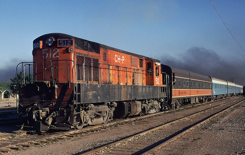 Chihuahua del Pacifico profile