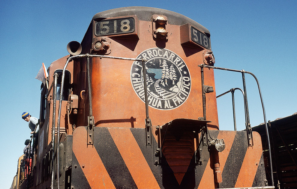 Chihuahua del Pacifico profile